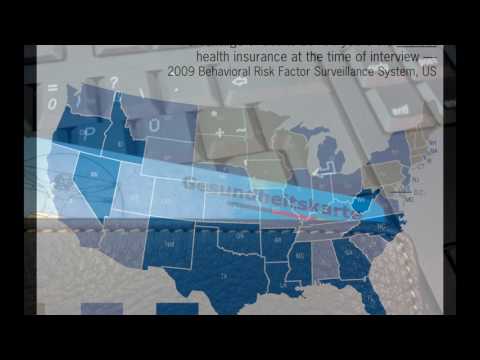 Insurance Coverage – State Farm