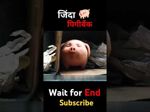The story of a happy family and a living piggy bank explaine in Hindi/Urdu #shorts