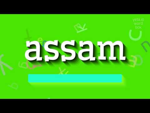 How to say "assam"! (High Quality Voices)