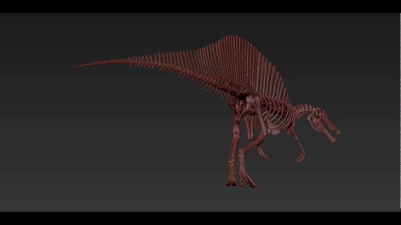 spino skeleton turntable