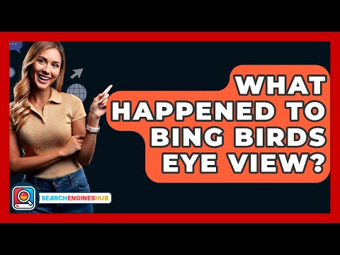What Happened To Bing Birds Eye View? - SearchEnginesHub.com