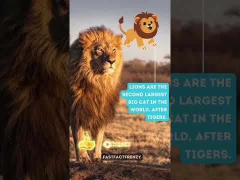 These facts about lions will make your day!