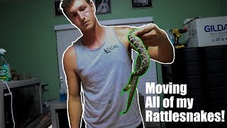 Will Nace - Custom Cages