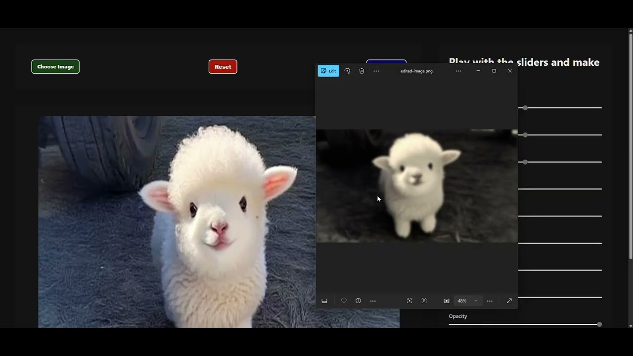 Modern Image Filter App using Vanilla JavaScript