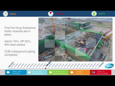 2019 ISPE Facility of the Year Awards Category Winner for Project Execution - Pfizer Inc.