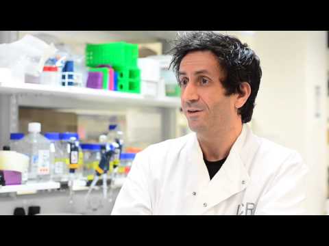 Genetic flaw may hold key to deadly childhood brain tumour