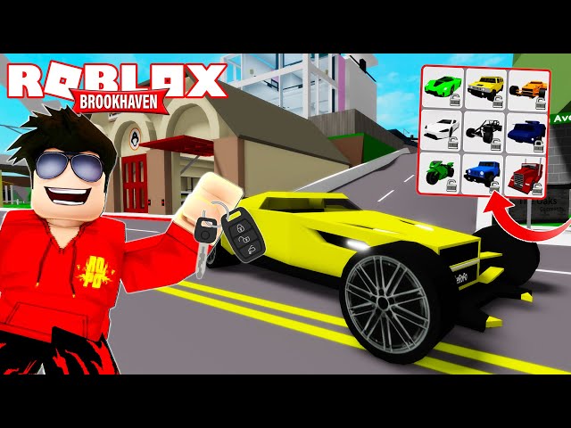 10 things you should know before playing Brookhaven in Roblox