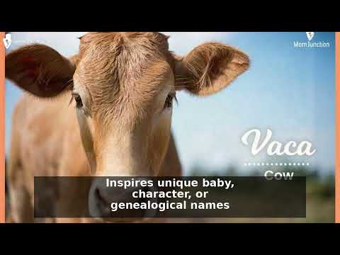 Top 50 Surnames That Start With V (Ultimate 2023 Guide)