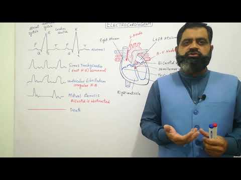 Electrocardiogram Urdu /Hindi medium @ Prof Masood fuzail | SA node | AV node | ECG |