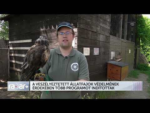 Több program is indult a veszélyeztetett állatfajok védelme érdekében - HÍR TV+