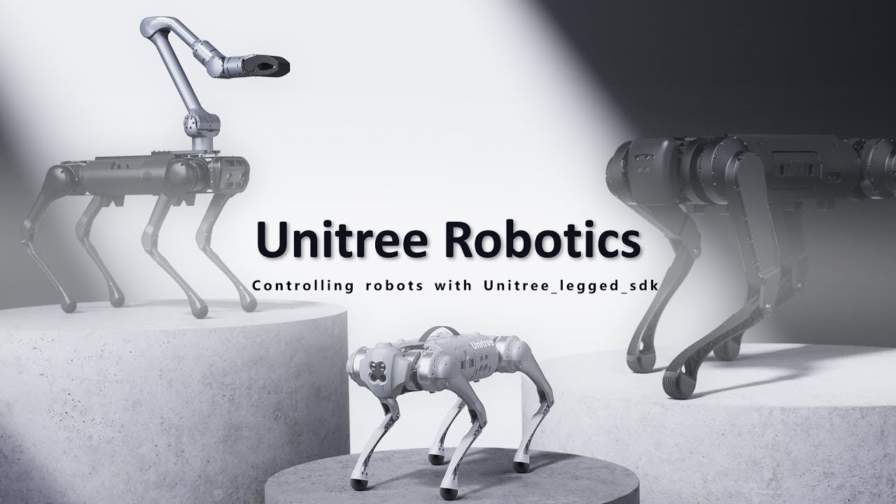 Controlling Unitree Robots with Unitree_legged_sdk
