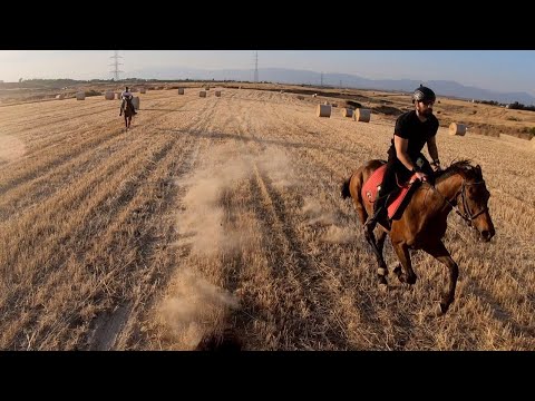 Poetry In Motion | Slow Motion Horse Riding - A gallop in the fields