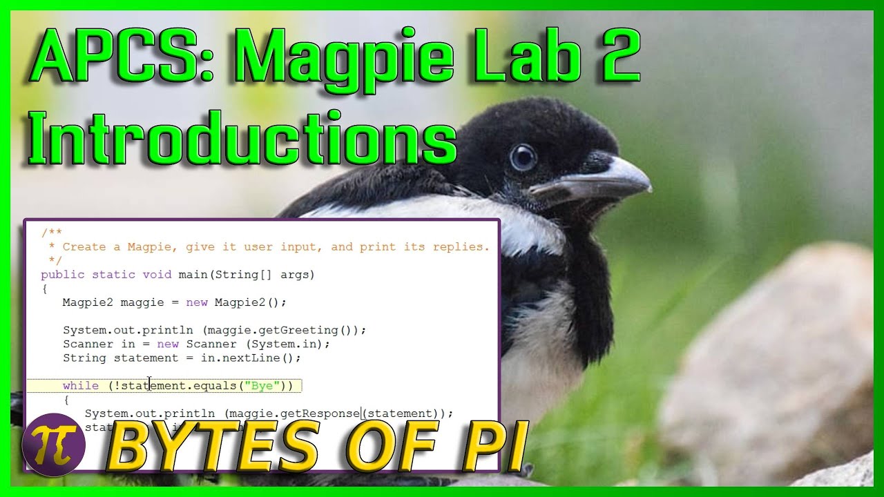 APCS: Magpie Lab: Activity 2 Introduction