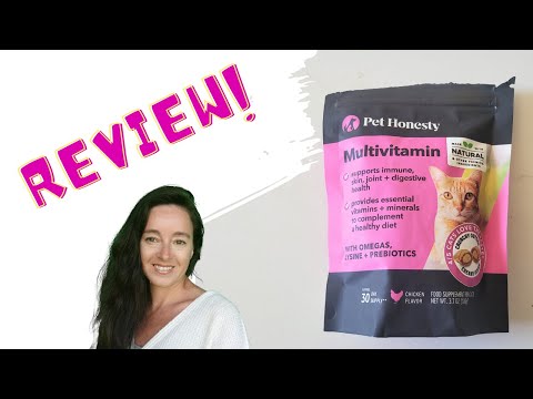 Cat Multivitamins: A Review of Pet Honesty's Chews