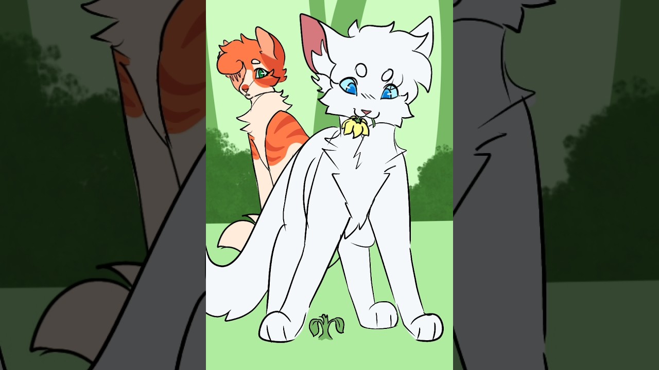 Get This Right - Cloudtail and Brightheart Warrior Cats Animatic - #warriorcats #wcue #animatic