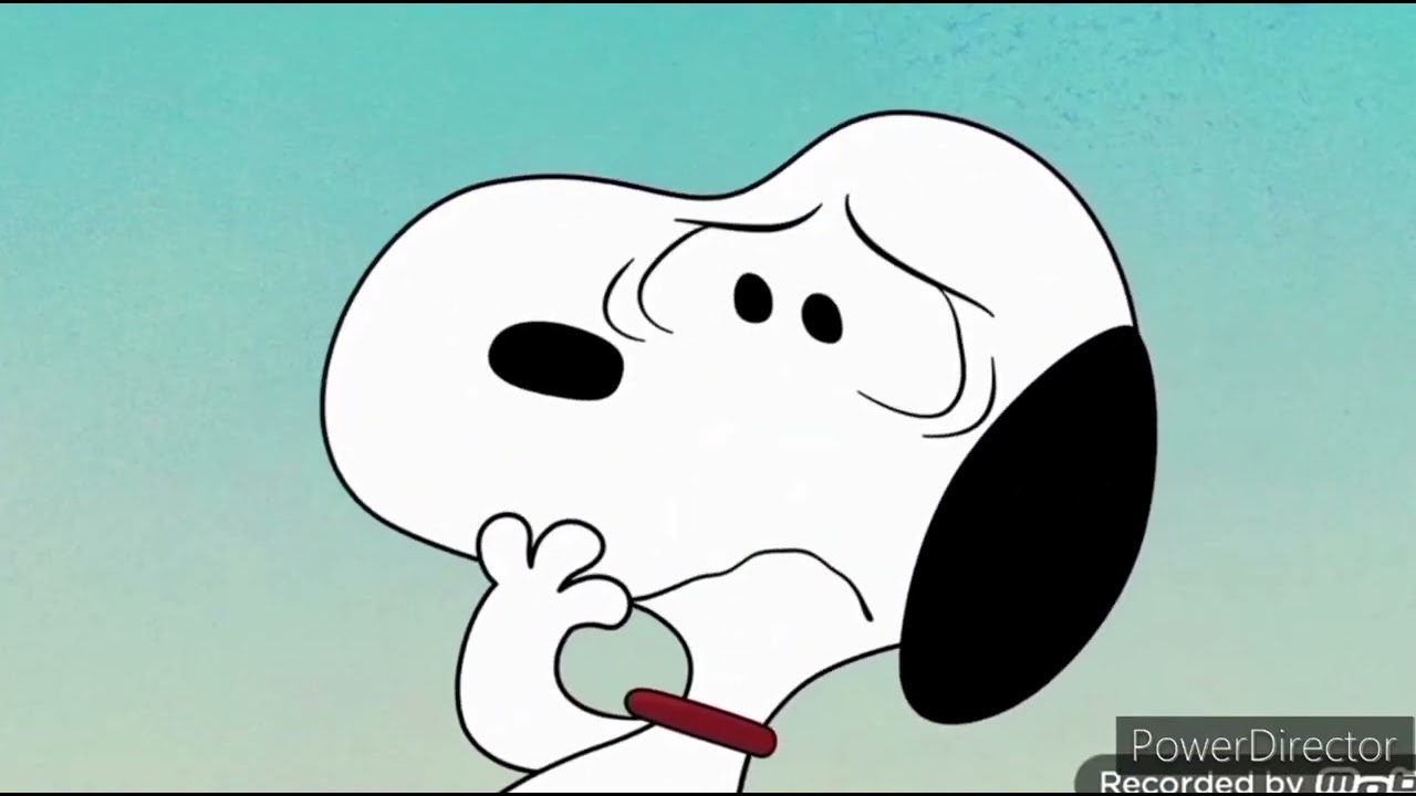 Watch This Guys Snoopy Crying