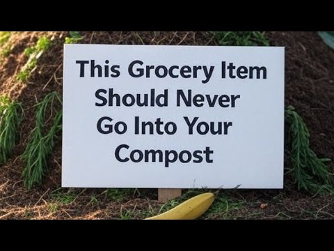 The Grocery Item You Should Never Compost It Kills Soil Microbes!