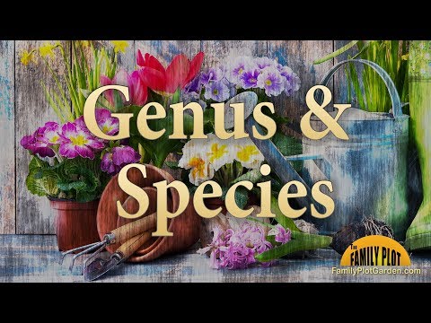 Genus and Species – Garden Glossary