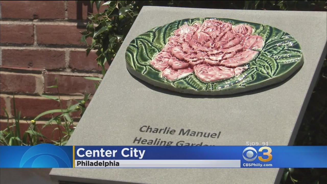 Magee Rehabilitation Debuts New Roof Top Healing Garden In Center City