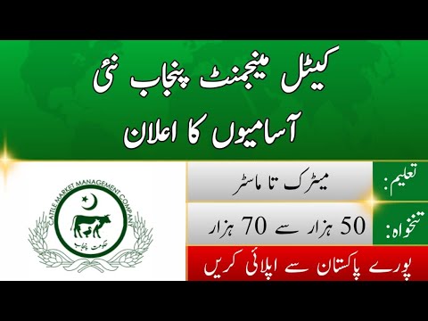 Cattle Market Management & Development Company Punjab Jobs 2022 | Government Jobs | PK Jobs Factory
