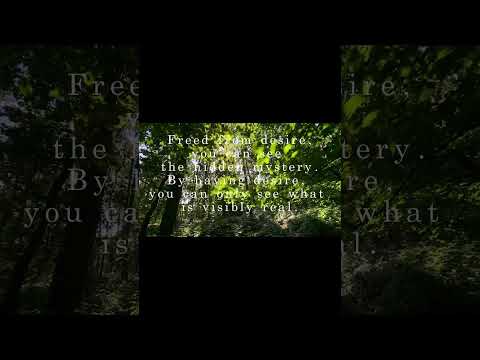 Tao Te Ching Chapter 1