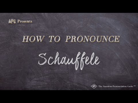 How to Pronounce Schauffele (Real Life Examples!)