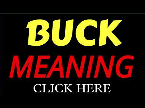 What does the name BUCK mean | BUCK meaning in english | Meaning of name BUCK