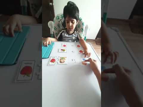 sentence formation using pecs and pictures