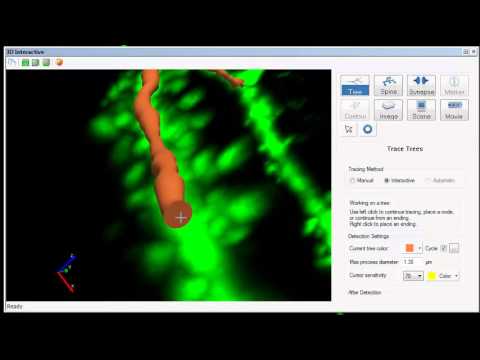 Next-generation neuron tracing: Sneak peak #1