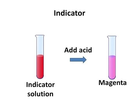 Science - What Are Acid-Base Indicators - English