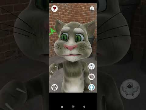 CΓ³mo Instalar Talking Tom Cat