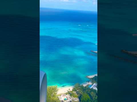 Landing in Nassau Bahamas #flying #nassau #bahamas #travel #airplaneviews