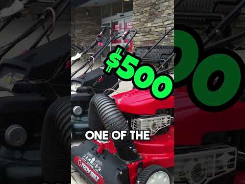 I STARTED a Lawn Care Business with $1200💵