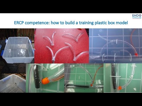 ERCP: competence and quality, a practical approach