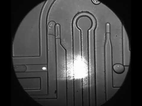 New platform allows researchers to listen in on cell-cell crosstalk