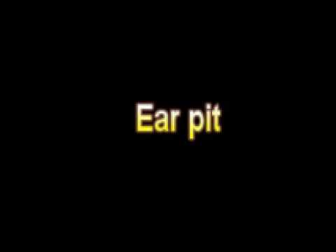 What Is The Definition Of Ear pit - Medical Dictionary Free Online