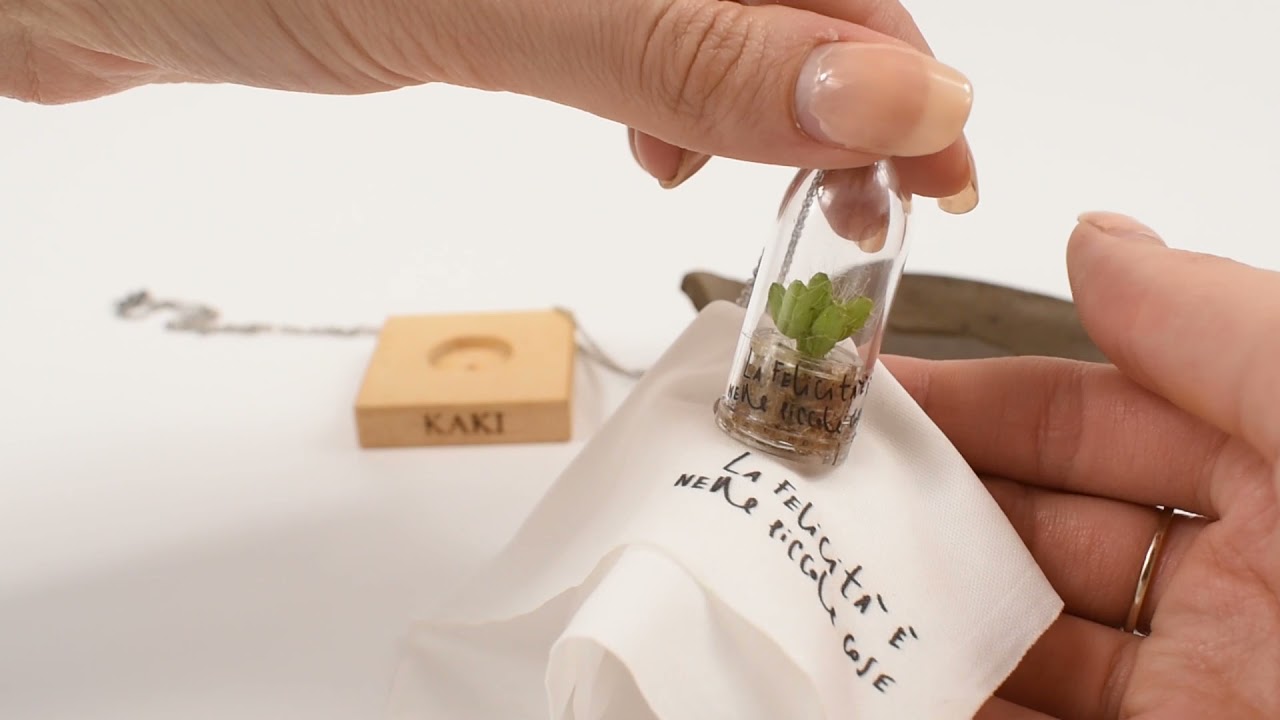 Kaki® | Cura e Dedizione