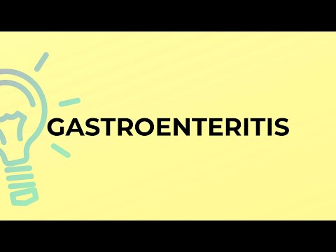 What is the meaning of the word GASTROENTERITIS?
