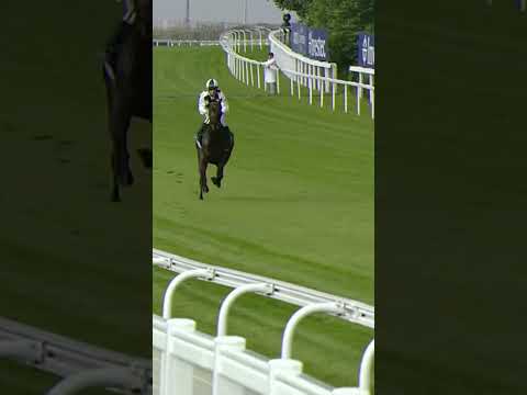 Jockey jumps off horse at 40mph!