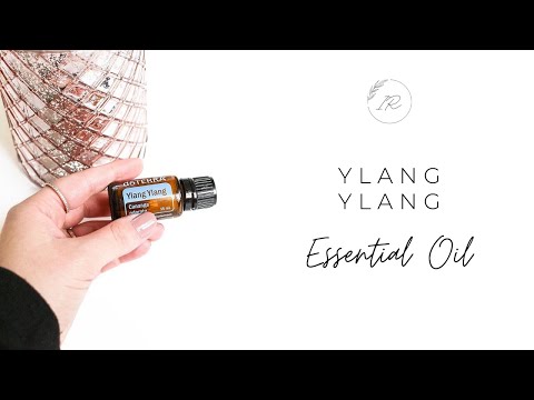 Ylang Ylang Essential Oil : heart health & sexy time?!