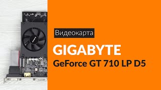Купить Видеокарта GIGABYTE GeForce GT 710 LP D5 [GV-N710D5-2GIL] в ...