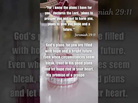 Shining a Light on daily bible verses