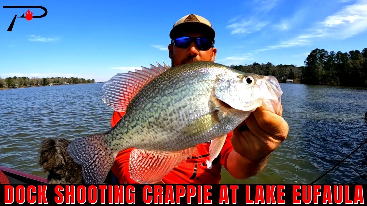 Dock Shooting Crappie at Lake Eufaula
