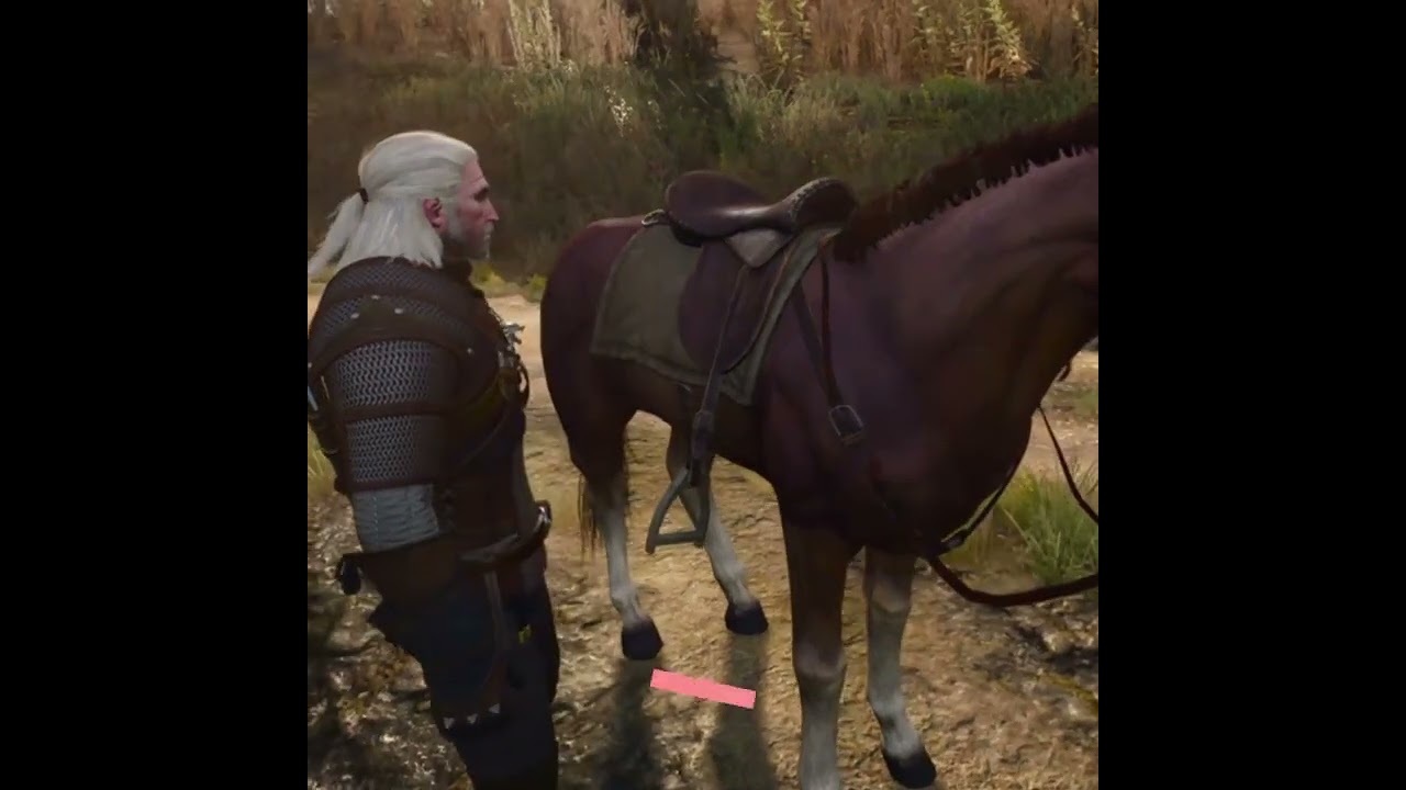 Did you know that you can pet your horse Roach? - Witcher 3 The Wild Hunt Next Gen Upgrade