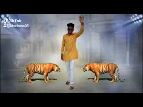 Kiran Boss