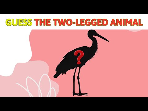 GUESS THE TWO-LEGGED ANIMAL BY SHADOW | Smart Animal Quiz for Kids | Bing Kids TV