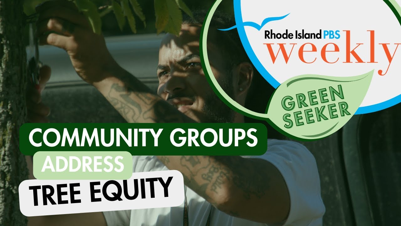 Tree equity taking root in Rhode Island | Green Seeker