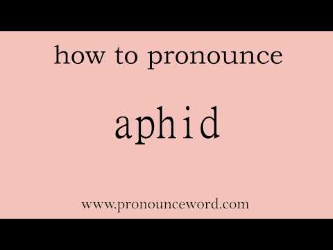 aphid: How to pronounce aphid in english (correct!).Start with A. Learn from me.