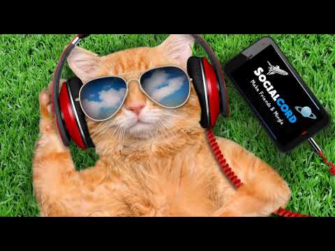 Socialcord the worlds best discord server for making friends!