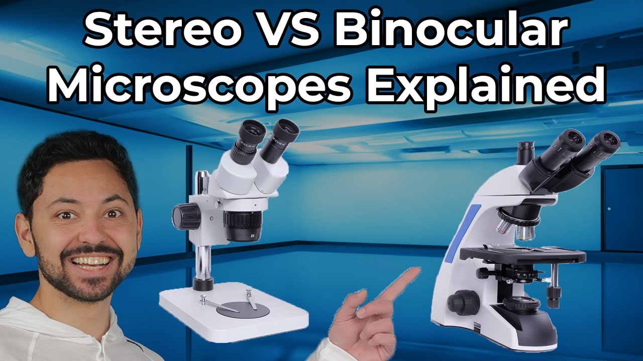 What is the Difference Between Binocular and Stereo Microscopes?